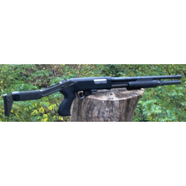 Armi usate web portal: FRANCHI PA5 CAL. 12