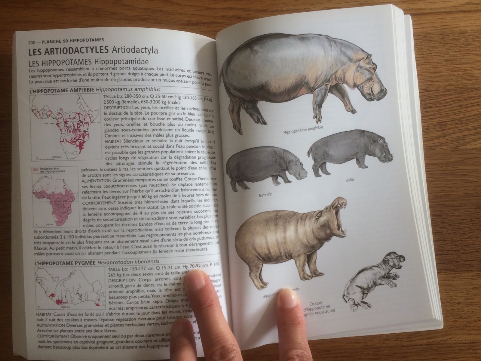 Fiche pédagogique FLE Afrique – ENVIRONNEMENT : Les animaux