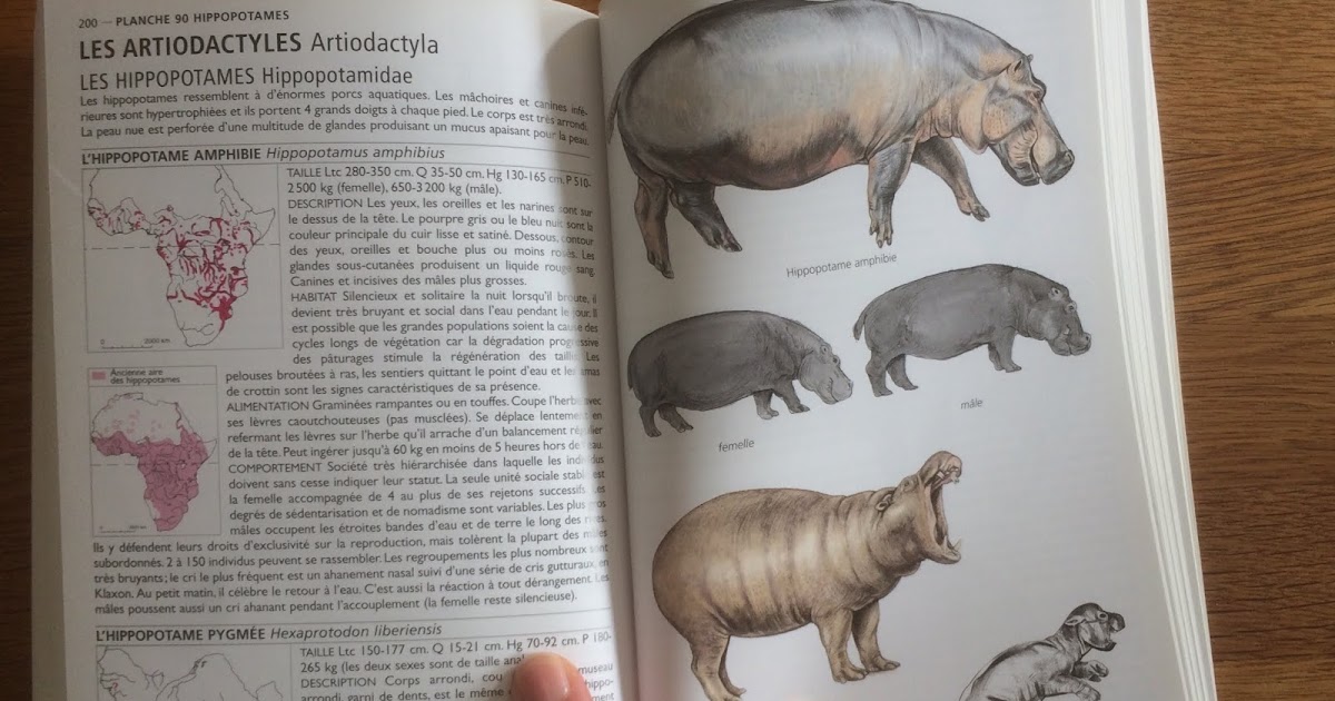 Fiche pédagogique FLE Afrique – ENVIRONNEMENT : Les animaux