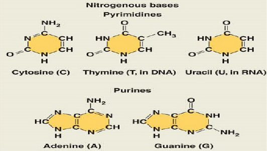 All About Studies Now
