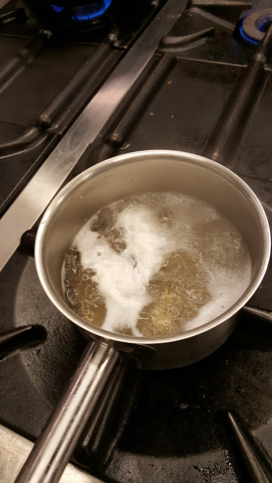 Ana's blog - Aarhus Tech - Gas 3: Sautere, pochere og jævnemetoder 26.01.16