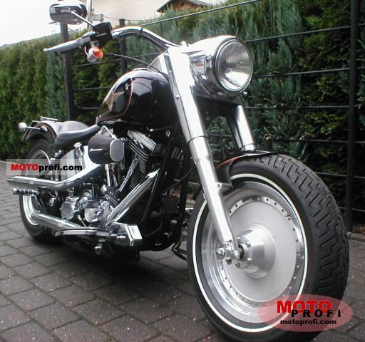 Harley Davidson Motorcycle: Custom Harley Fatboy