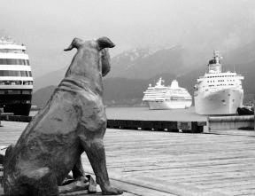 Famous Dogs in History: Patsy Ann: Juneau's Official Greeter