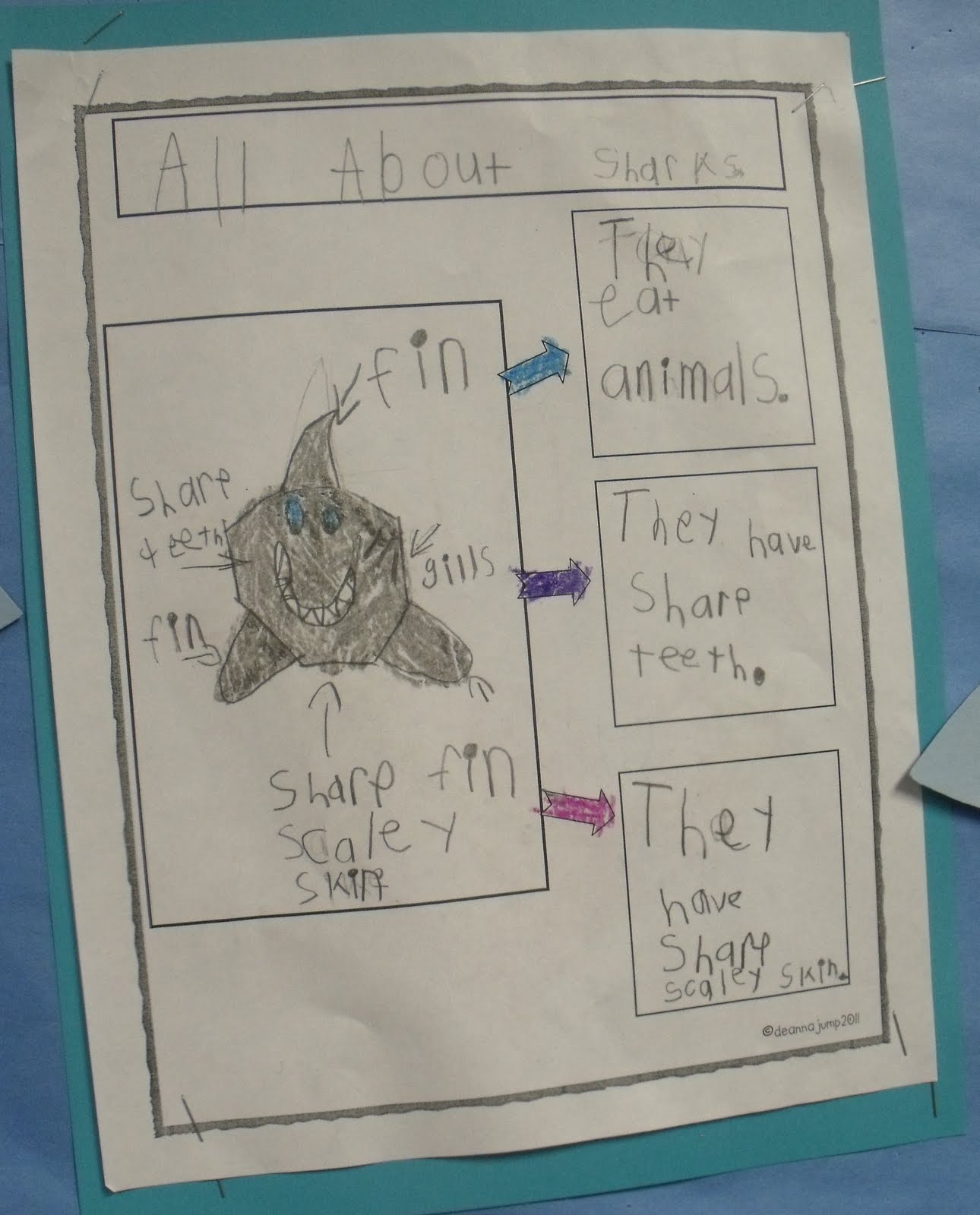 Ocean Unit of Fun! - Mrs. Jump's Class