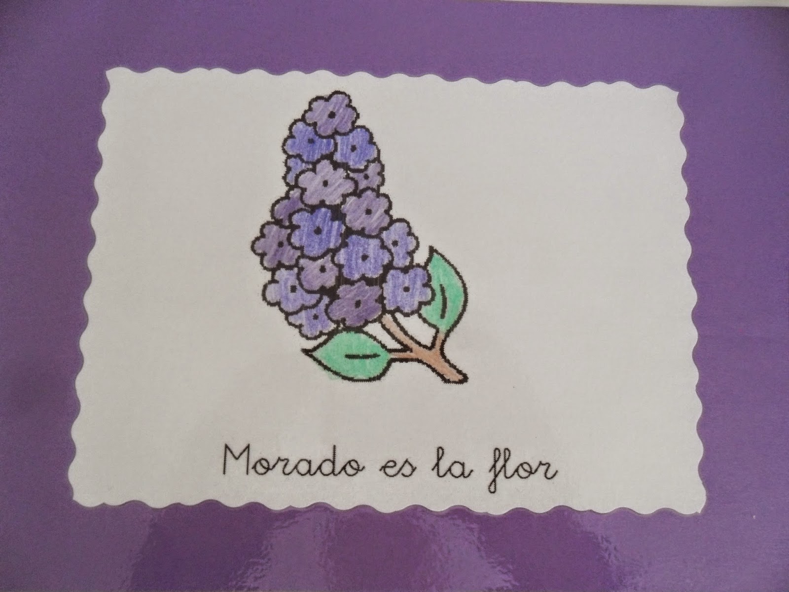 Materiales para Educación Infantil: POESÍA COLOR MORADO