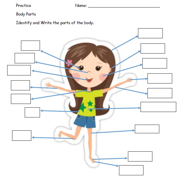 Tecnología Educativa - Parts of the Body: Body Parts