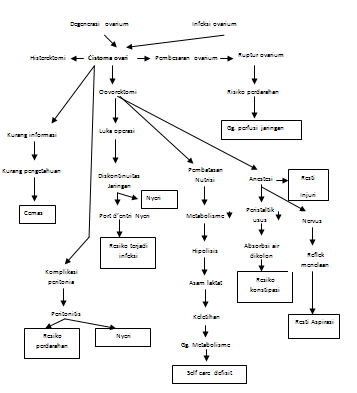 mudiarsa: kistoma Ovarii