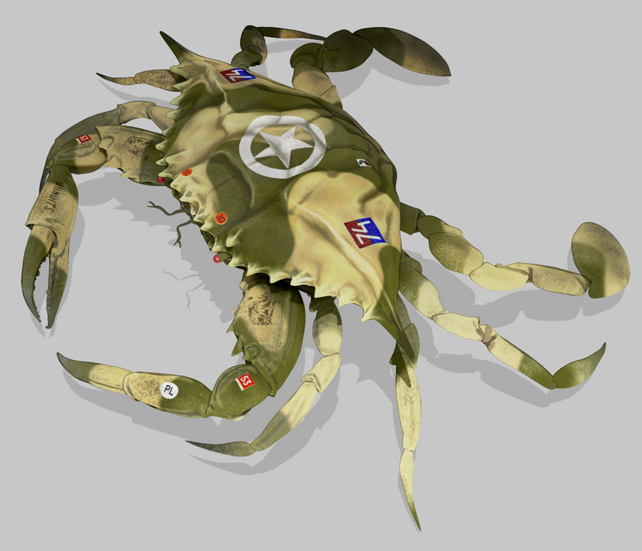 Eric Keller's Portfolio: Crab army