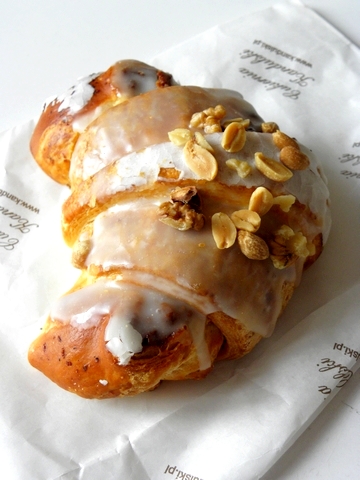 KOKILKA: Rogal gdański vs Rogal marciński