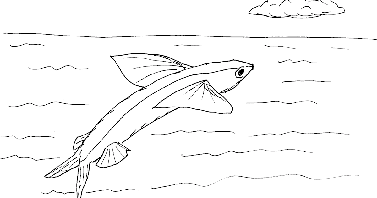 Robin's Great Coloring Pages: Flying Fish