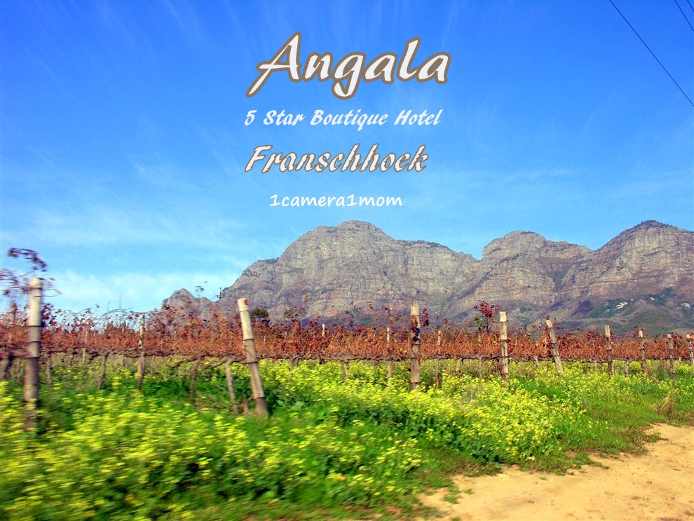 1camera1mom: Angala Boutique Hotel Franschhoek