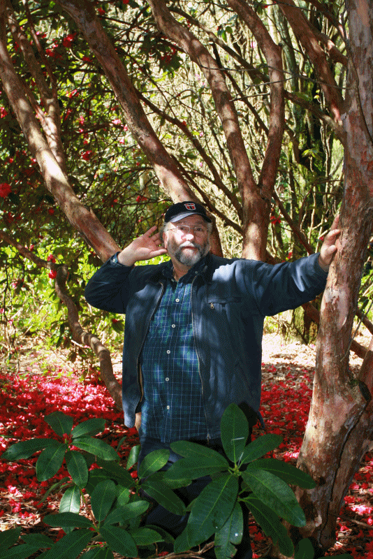 BEN TODICA: Grădinile Naționale Rhododendron din Munții Dandenongului ...