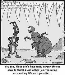 Parasitophilia: Parasite Cartoons