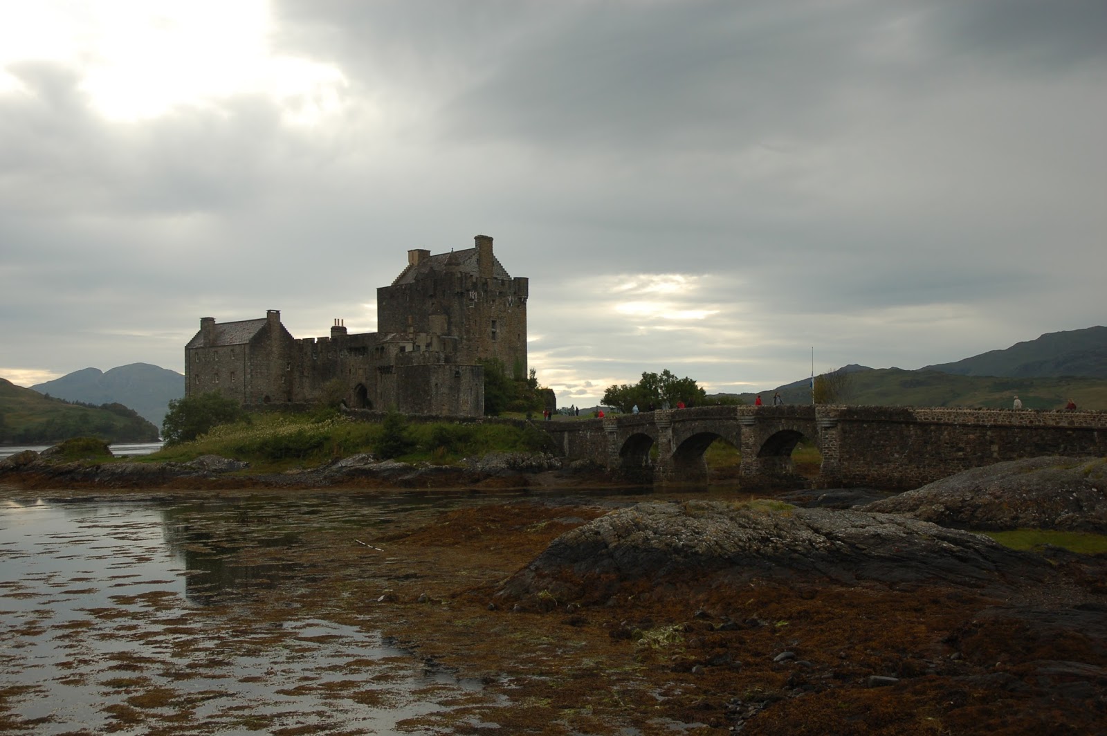 Windmills Jungle: (Scottish) Windy Nights..