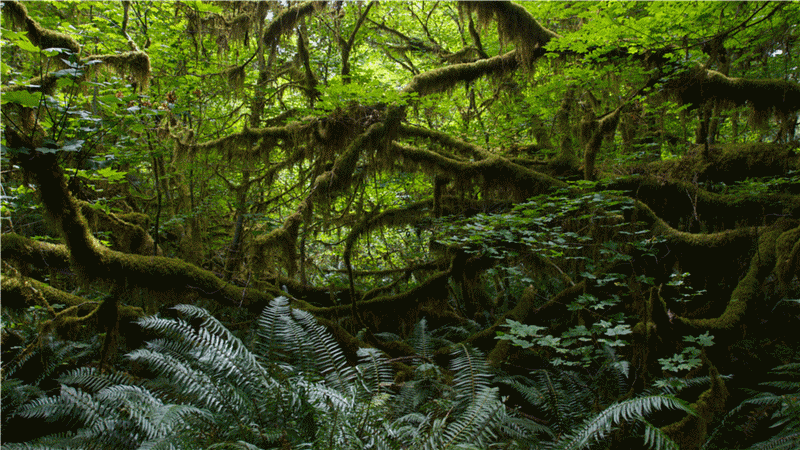 24 Free Animated PowerPoint Backgrounds That Move For Presentation ...