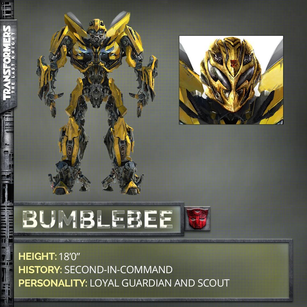 Transformers Live Action Movie Blog (TFLAMB): Bumblebee's TF5 Robot Mode