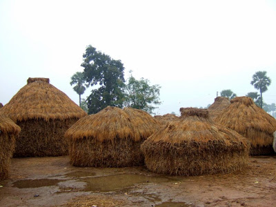 ANICCASIGHT: Sujata Village - Bodhgaya