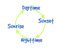 Cycle: Cycles of Life