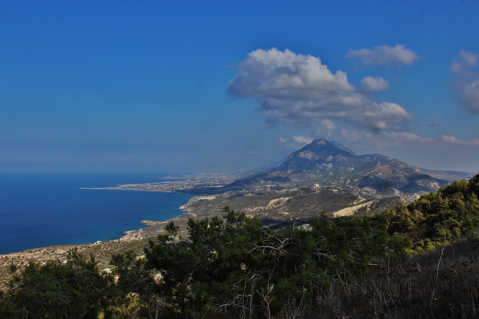 Biodiversity of Cyprus by NGO Protection of the Natural Heritage and ...