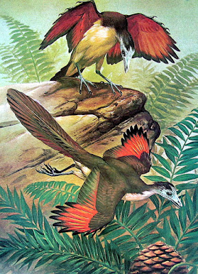 Sapienciario de culturemas: Misterios de nuestro mundo y del universo ...