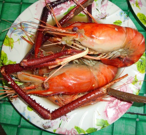 Udang besar masak rebus - Yumida