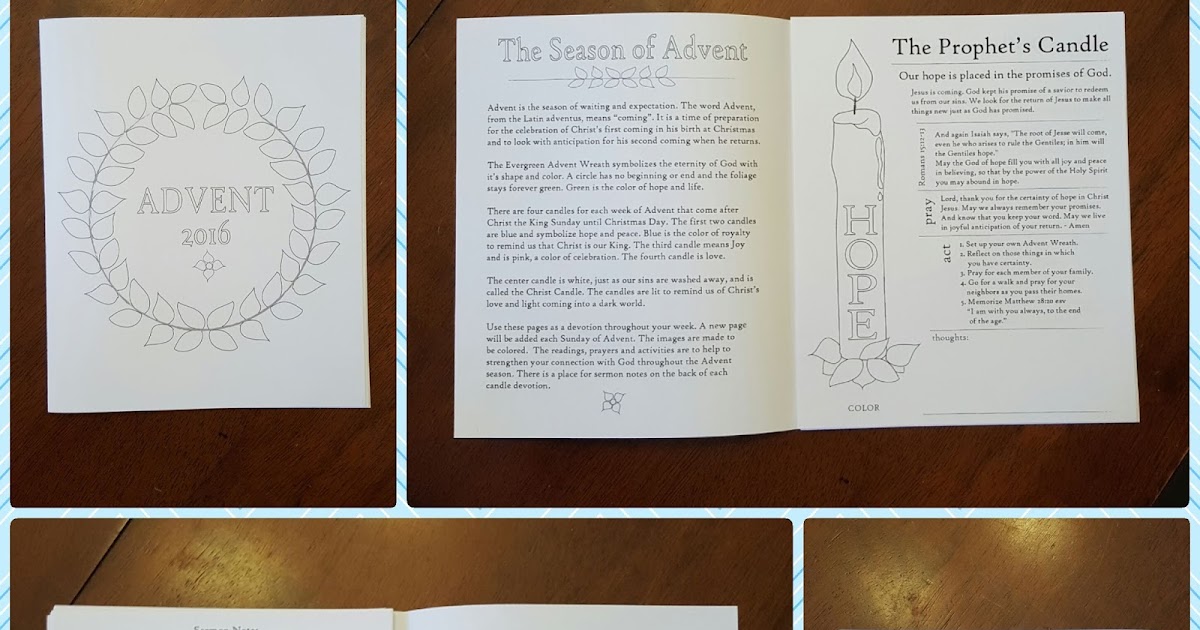 Unconventionally Steadfast: Advent Devotion Booklet