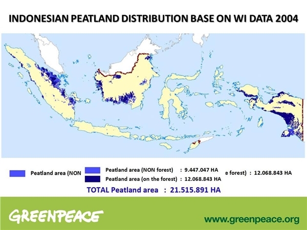 Peta Sebaran Rawa di Indonesia - Guru Geografi