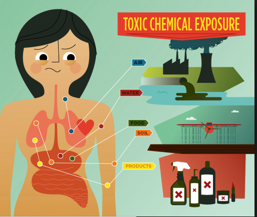 5 Jenis Toksin Yang Masuk Dalam Badan Punca Pendek Umur - Story of ...