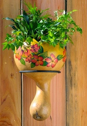 Labu China / Labu Botol / Labu Dewa mabuk / Labu Drunken Master: Kreasi ...