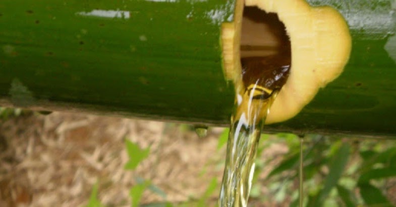 More than 1000 Travel Agents Across The World: the simplest way to make ...