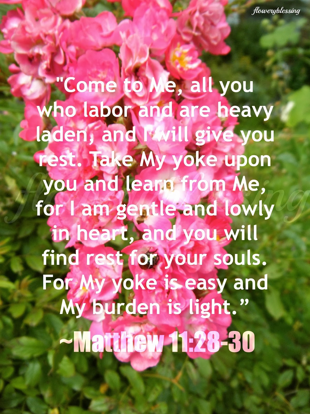 Flowery Blessing: "Come to Me, all you who labor and are heavy laden ...