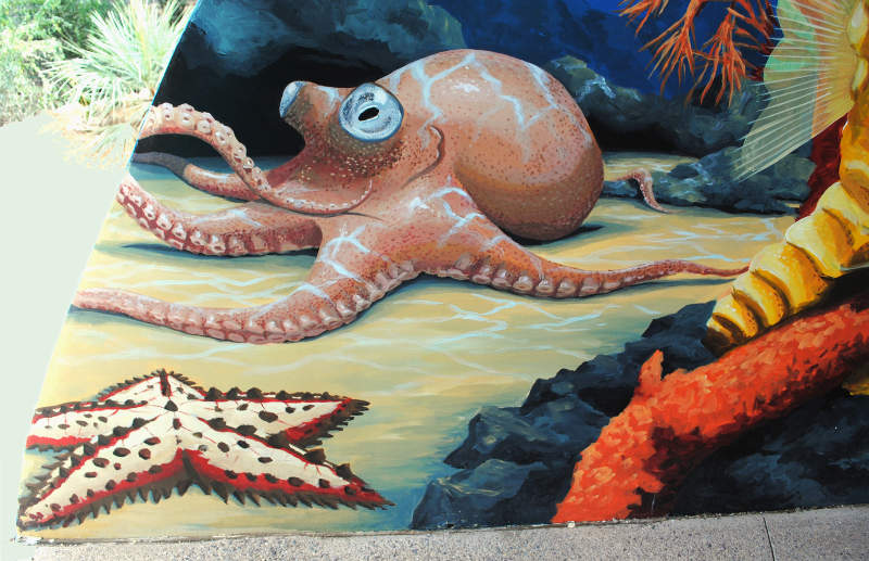 The Tucson Murals Project: Desert Museum stingray mural