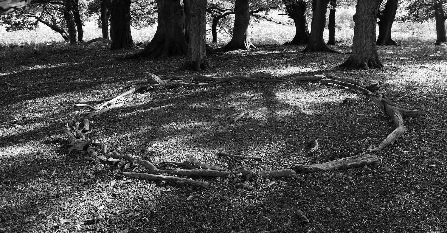 IF YOU GO DOWN TO THE WOODS TODAY....: Wooden circle