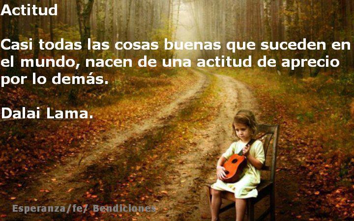 Frases: Actitud de aprecio