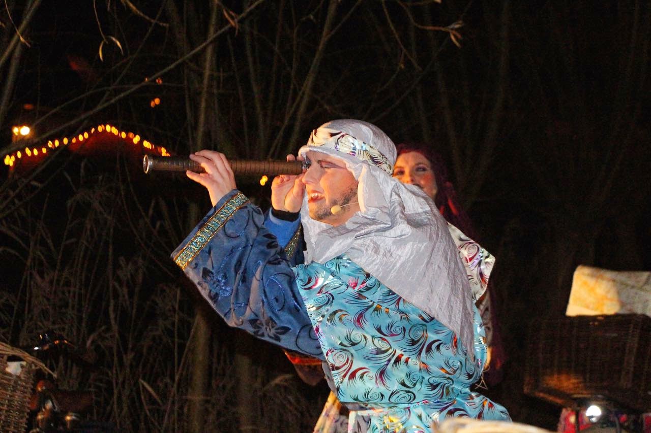 Theo Krins: Kerst Wandel Theater 2014