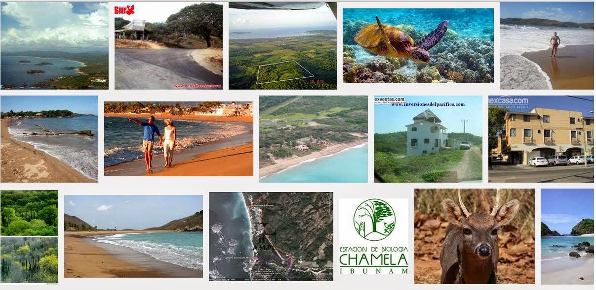Ecoturismo México: Chamela , Reserva de la biósfera