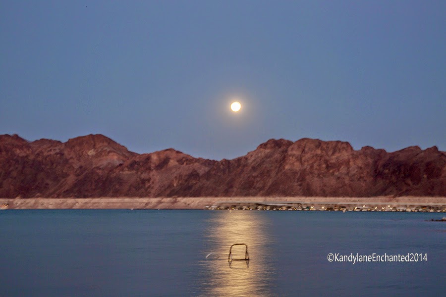 Kandylane Enchanted: The Enchanted Elements (#27 & #28)