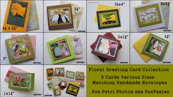 A day in the Life: Greeting Card Collections