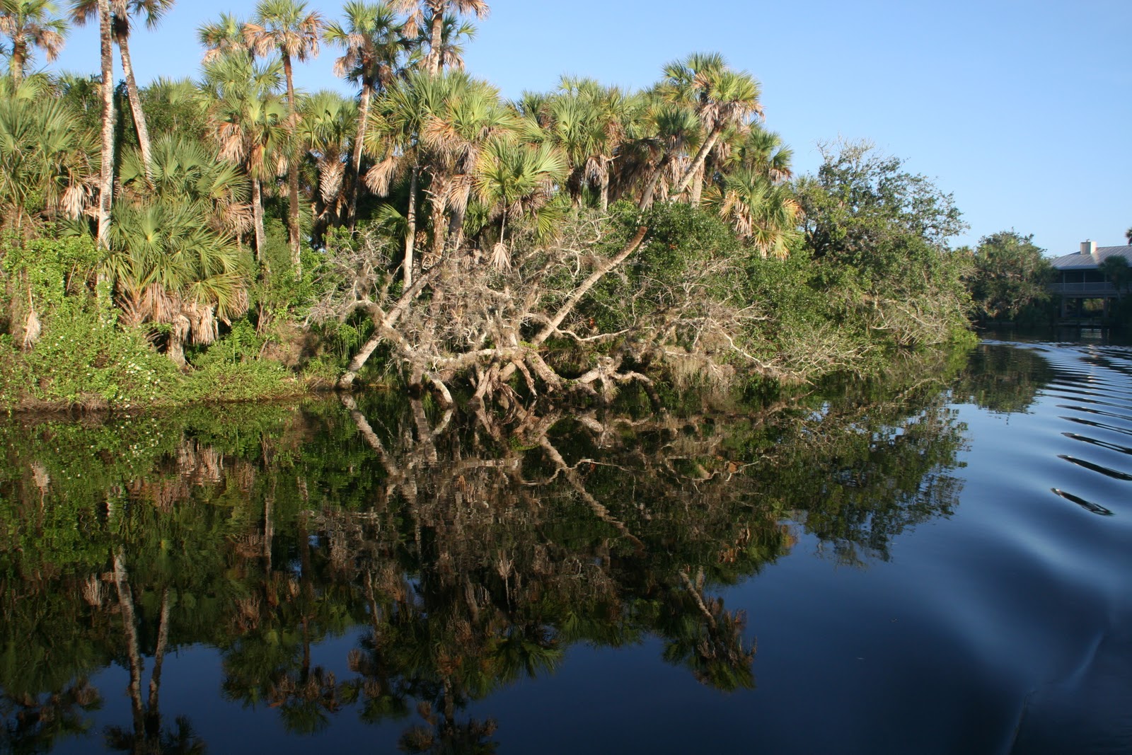 ACA Water Blog: Protecting Florida's Public Lands (and Water)