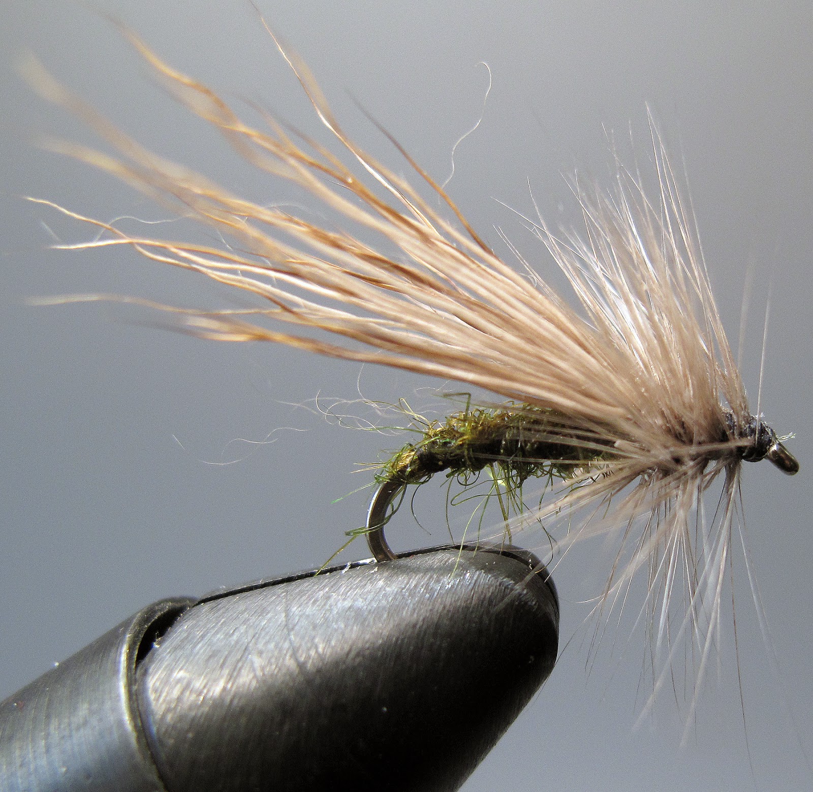 Dry Fly 'Expert': Learning About the Grannom