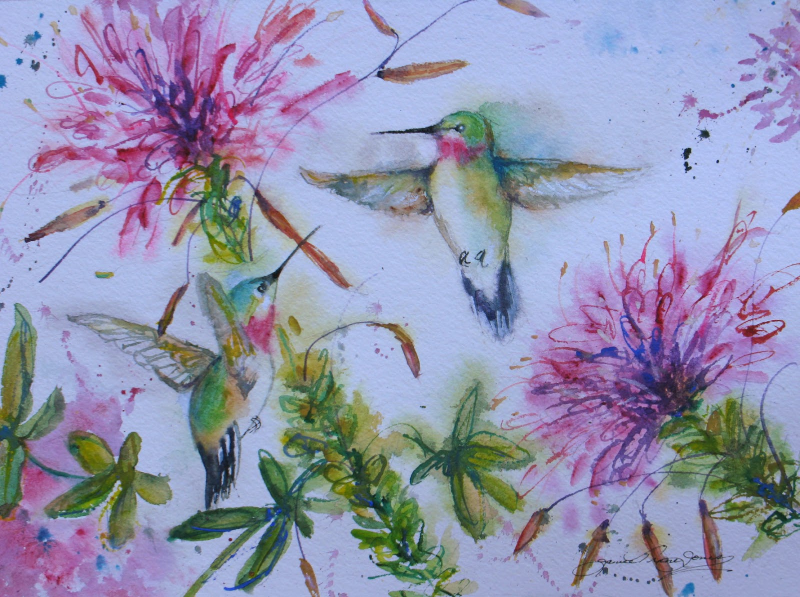 Daily Painters Abstract Gallery: SOLD "Hummingbird Cleome Courtship ...