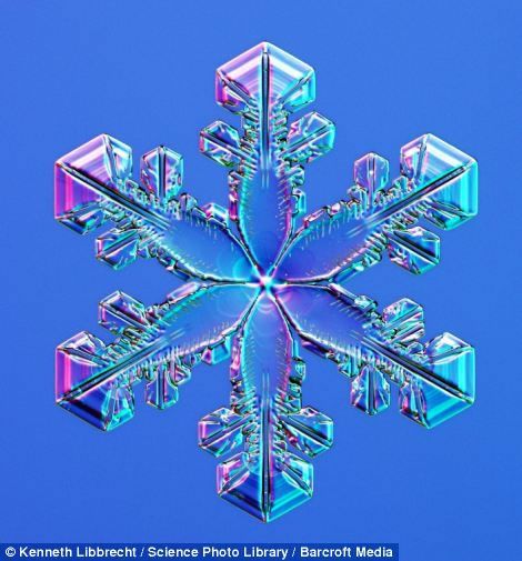 Heraldry of Life: ART with REAL SNOWFLAKES