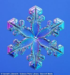 Heraldry of Life: ART with REAL SNOWFLAKES