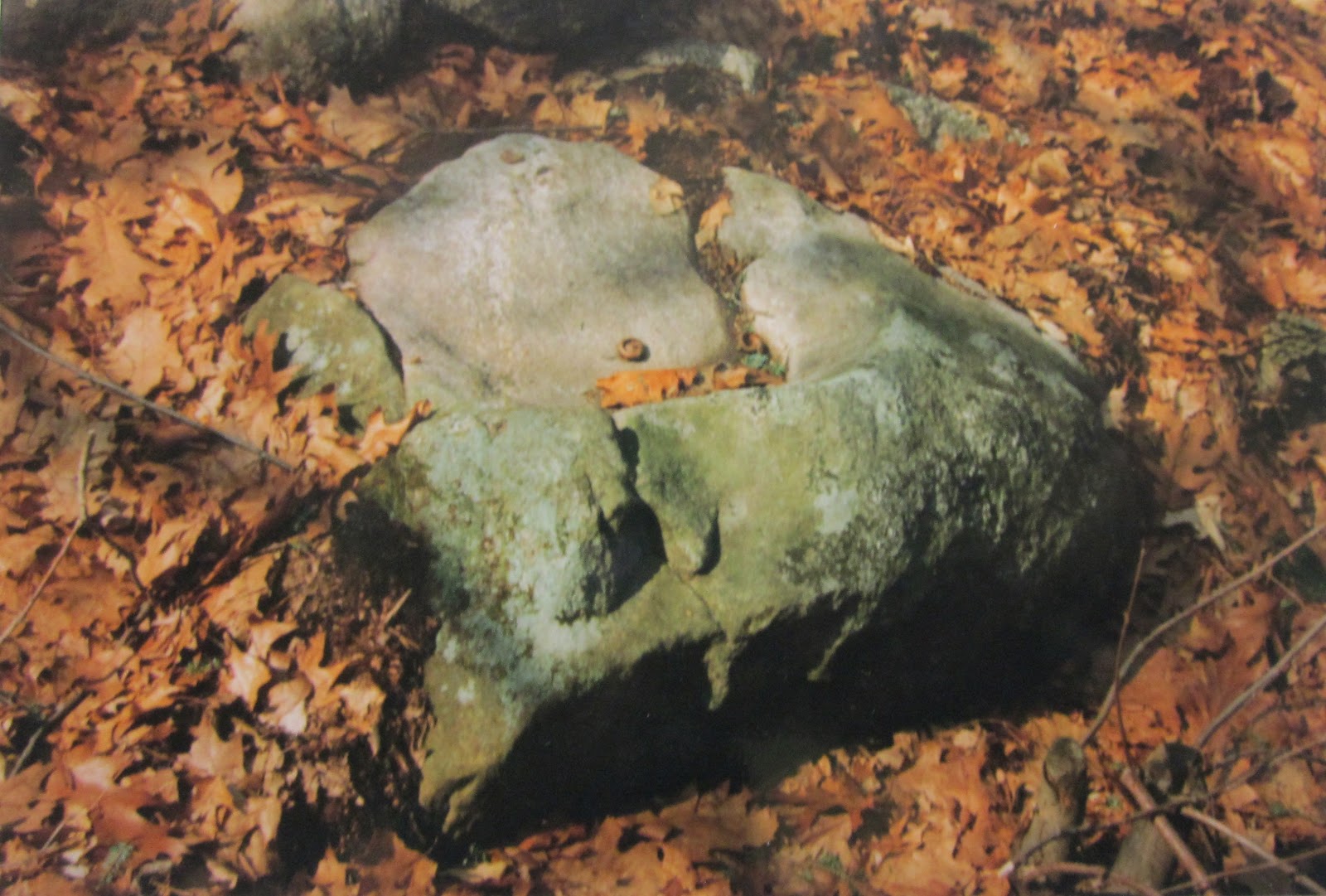 Waking Up on Turtle Island: First Medicine Bowlder (1997)