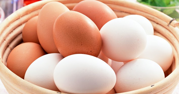 MY FANTASTIC LIST OF FABULOUS QUESTIONS: Eggs: why are some white and ...