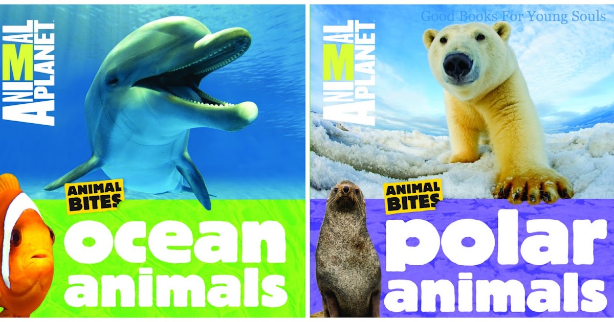 Good Books For Young Souls: Giveaway: Two New Books from Animal Planet