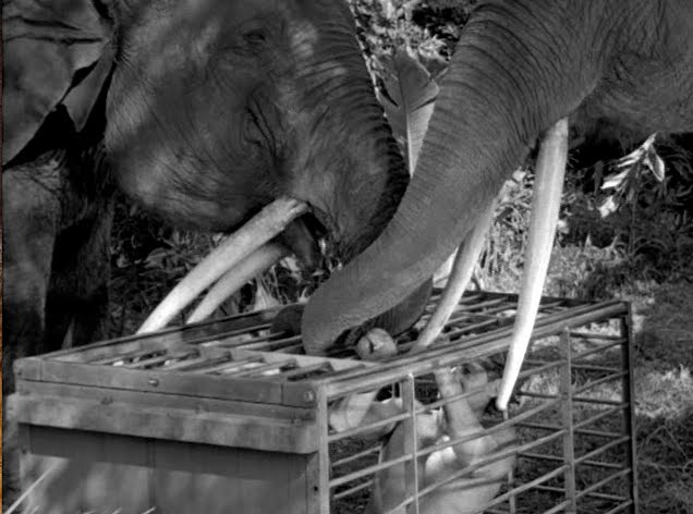 The Adventures of Jane - Alchetron, The Free Social Encyclopedia