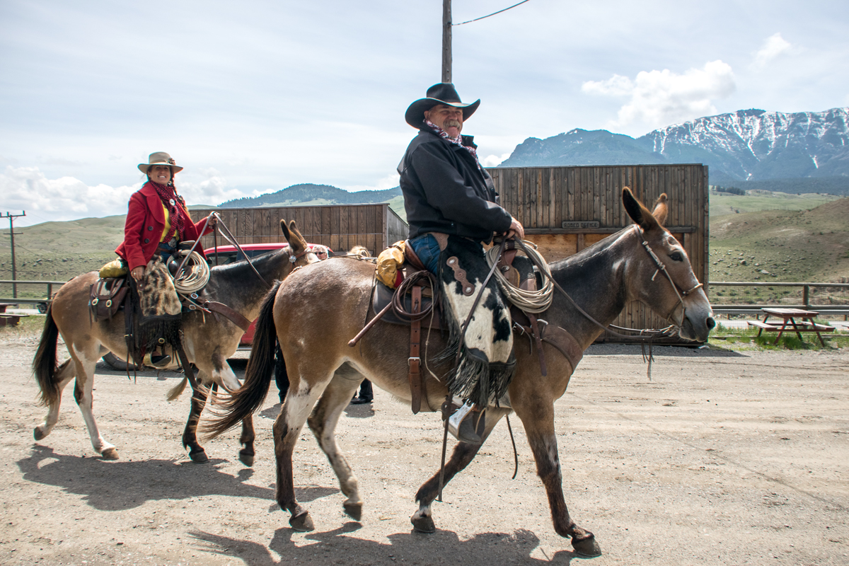 Montana: Hell's-A-Roarin' Horse Drive