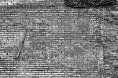 travis markel [photographer]