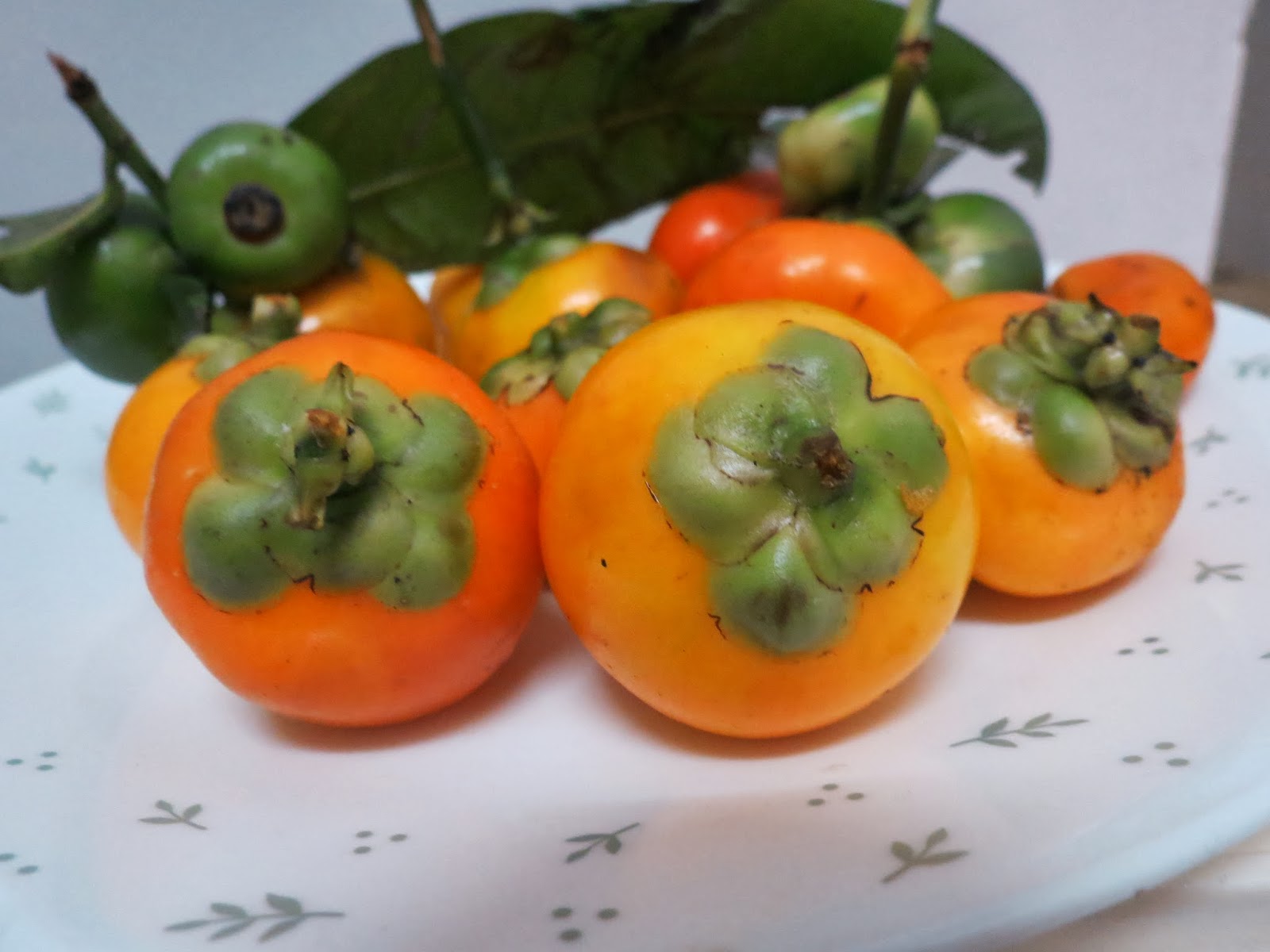 warna warni hidupku..............: Buah Apakah Ini?...Cupu..What Cupu?...